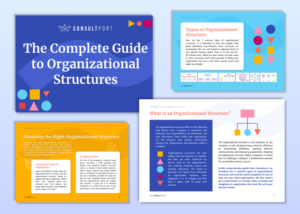 Organizational Design Toolkit [Guide + Templates] | Consultport