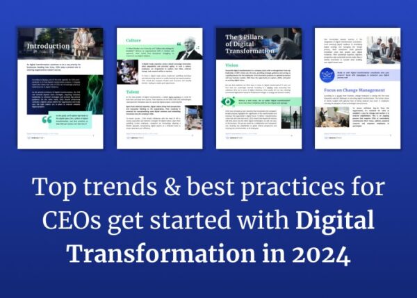Digital Transformation 2024: A CEO's Guide | Consultport